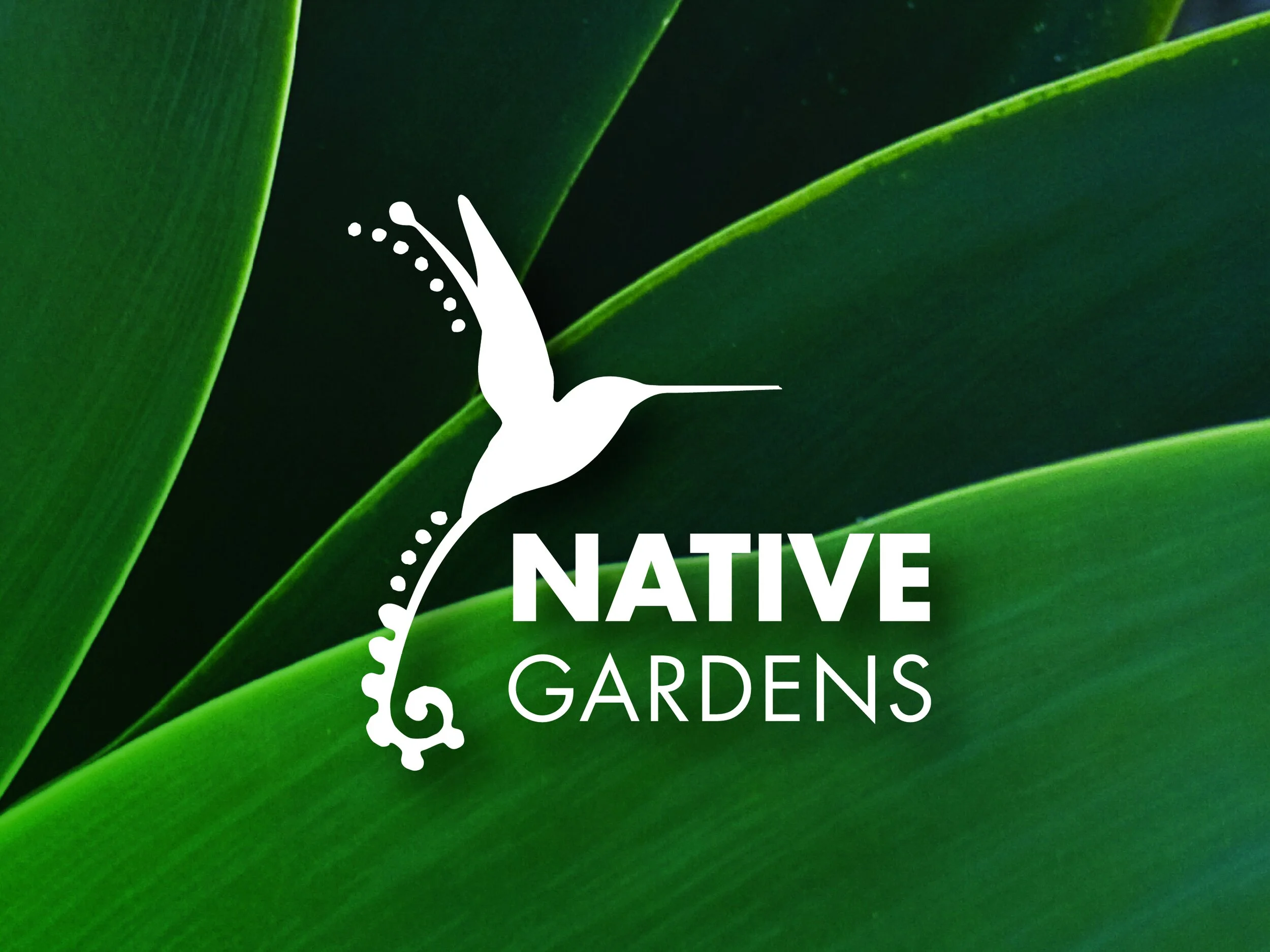 Indigo Creative