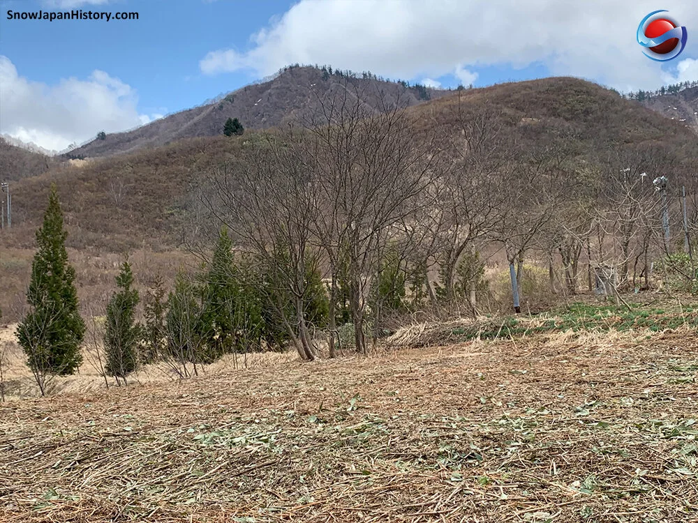 First Ishiuchi Ski Area (Minamiuonuma, Niigata) ファースト石打スキー場（新潟県南魚沼市）