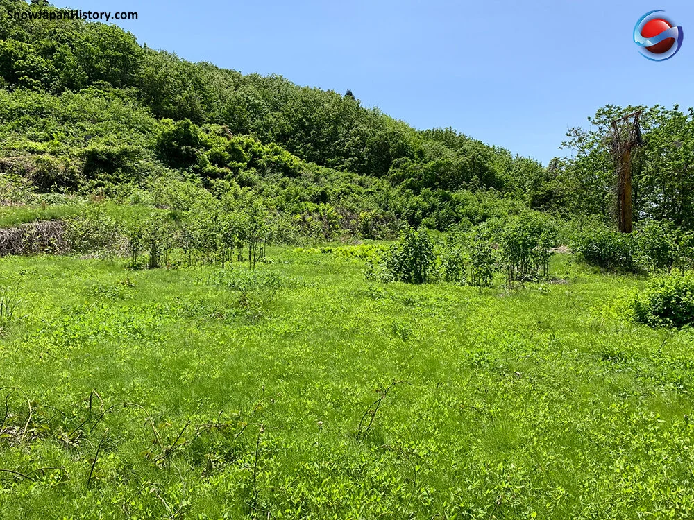 Ojiya Ski Area (Ojiya, Niigata) 小千谷スキー場（新潟県小千谷市）