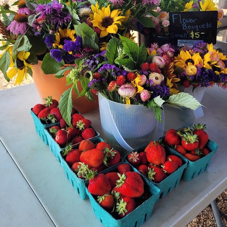 Events and Workshops — Lost Sierra Food Project