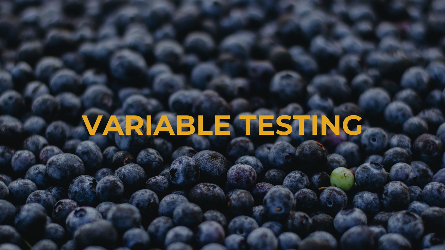 4 sample opinion strategies for your stack ranking surveys // OpinionX ...