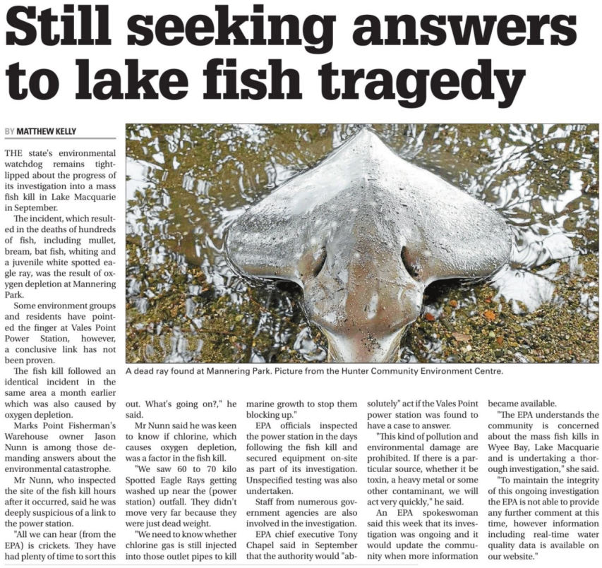 Thermal Water Pollution Fish Kills
