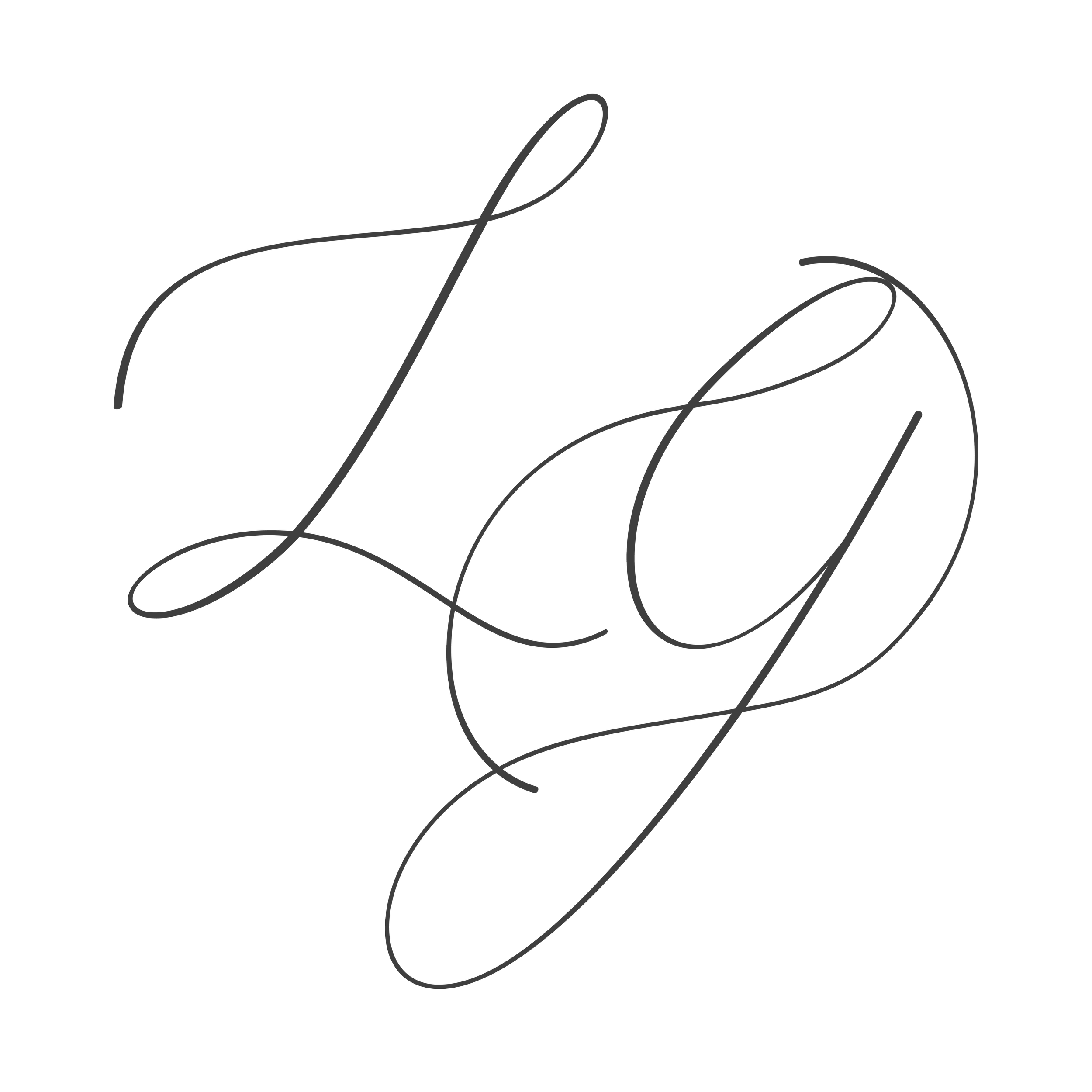 Springfield IL Wedding Photographers & Videographer- Lacey Graham ...