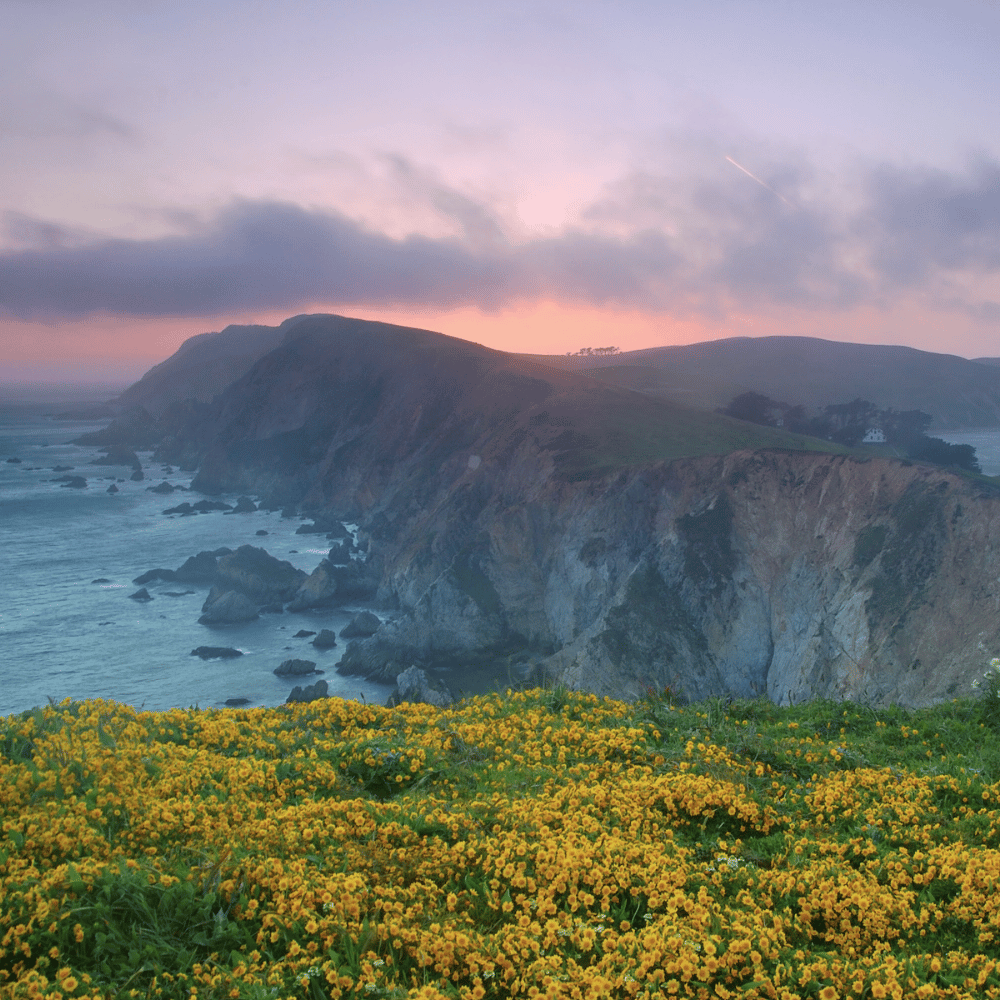13 Best Places to See Wildflowers in the U.S. This Spring (+ Peak Bloom ...