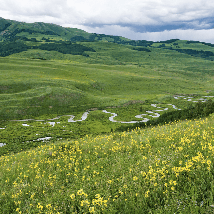 13 Best Places to See Wildflowers in the U.S. This Spring (+ Peak Bloom ...