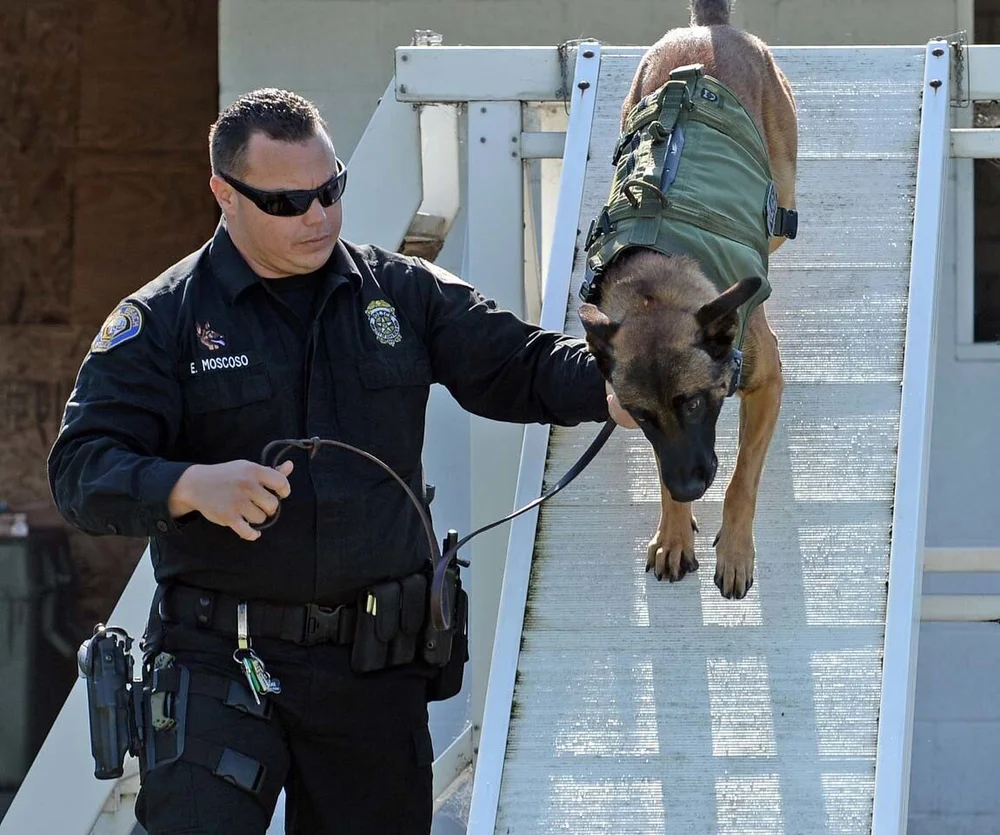 K9 Credo and the LBPD K9 Unit — K9 Storm Inc.