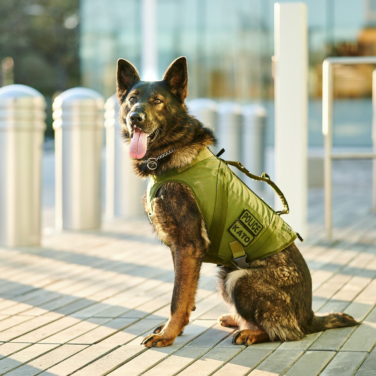 The Anonymous Donor — K9 Storm Inc.