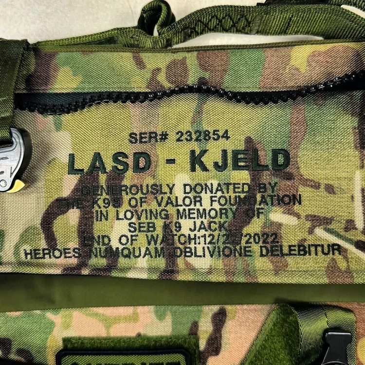 Guardian Angel — K9 Storm Inc.