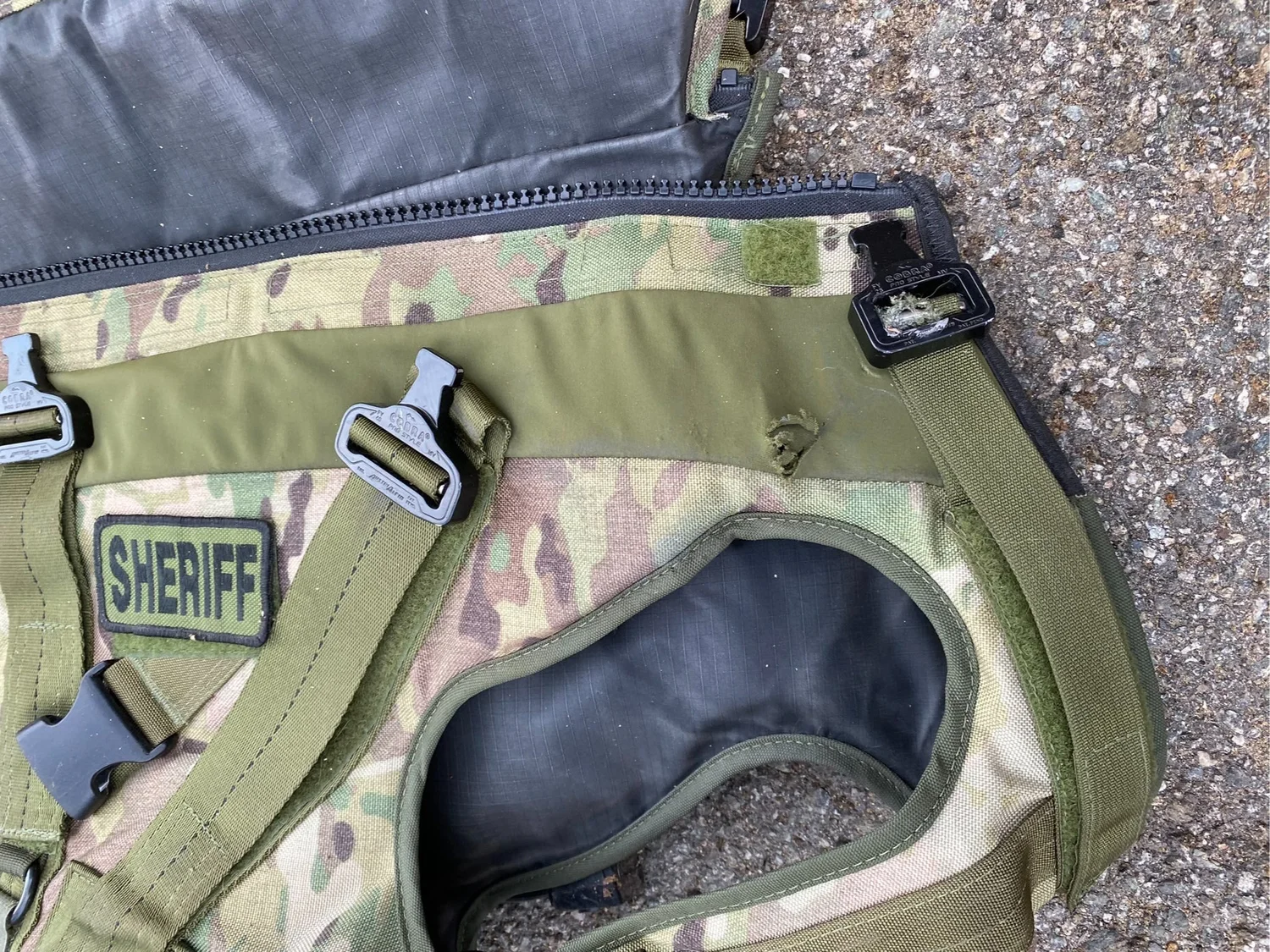 Guardian Angel — K9 Storm Inc.