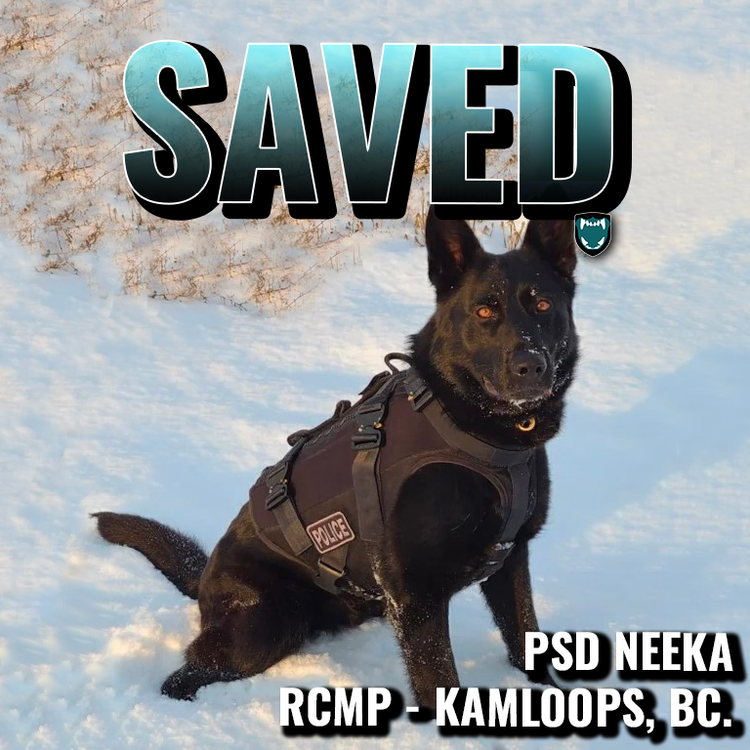 Striking Difference — K9 Storm Inc.