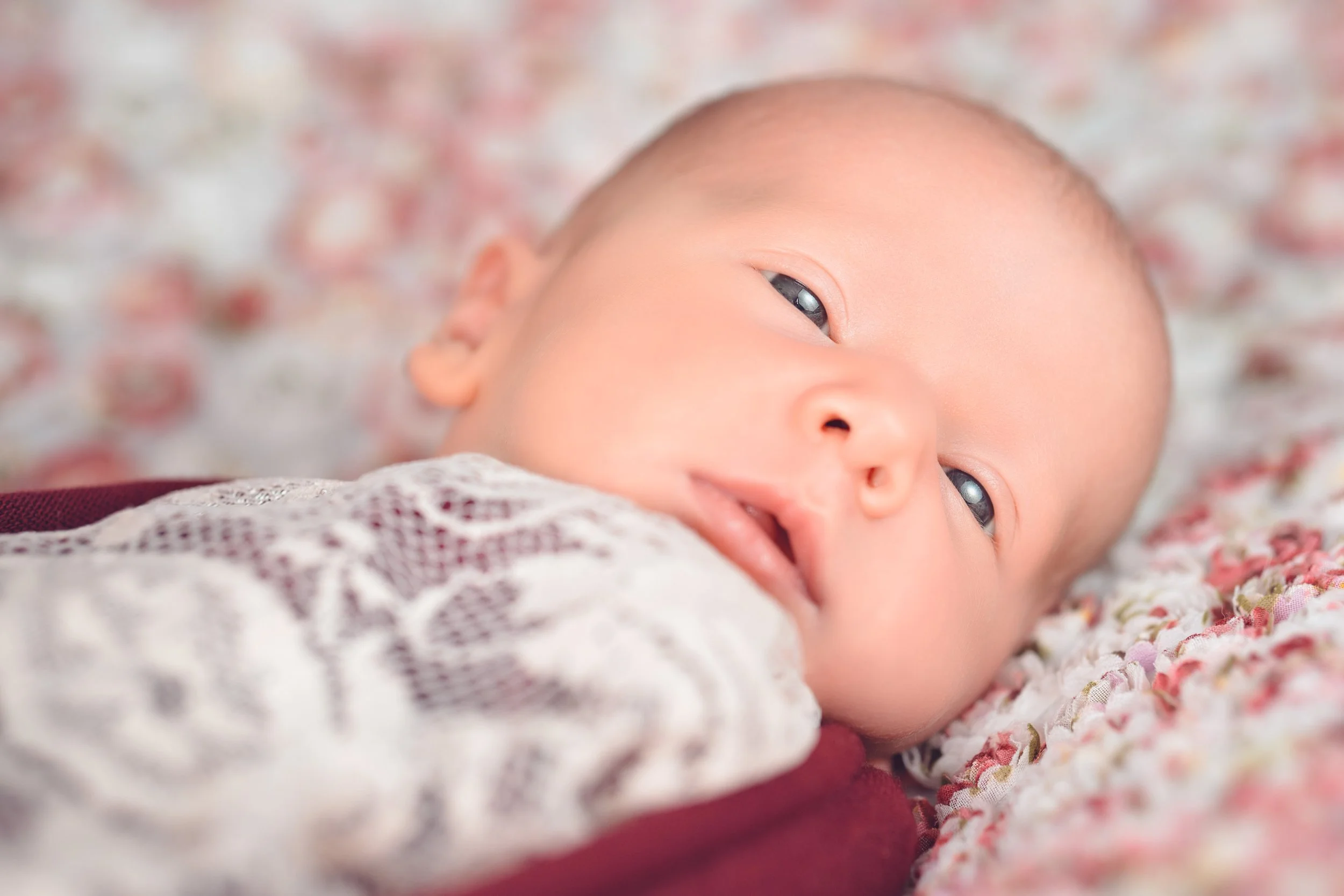 M. Harrison Photography