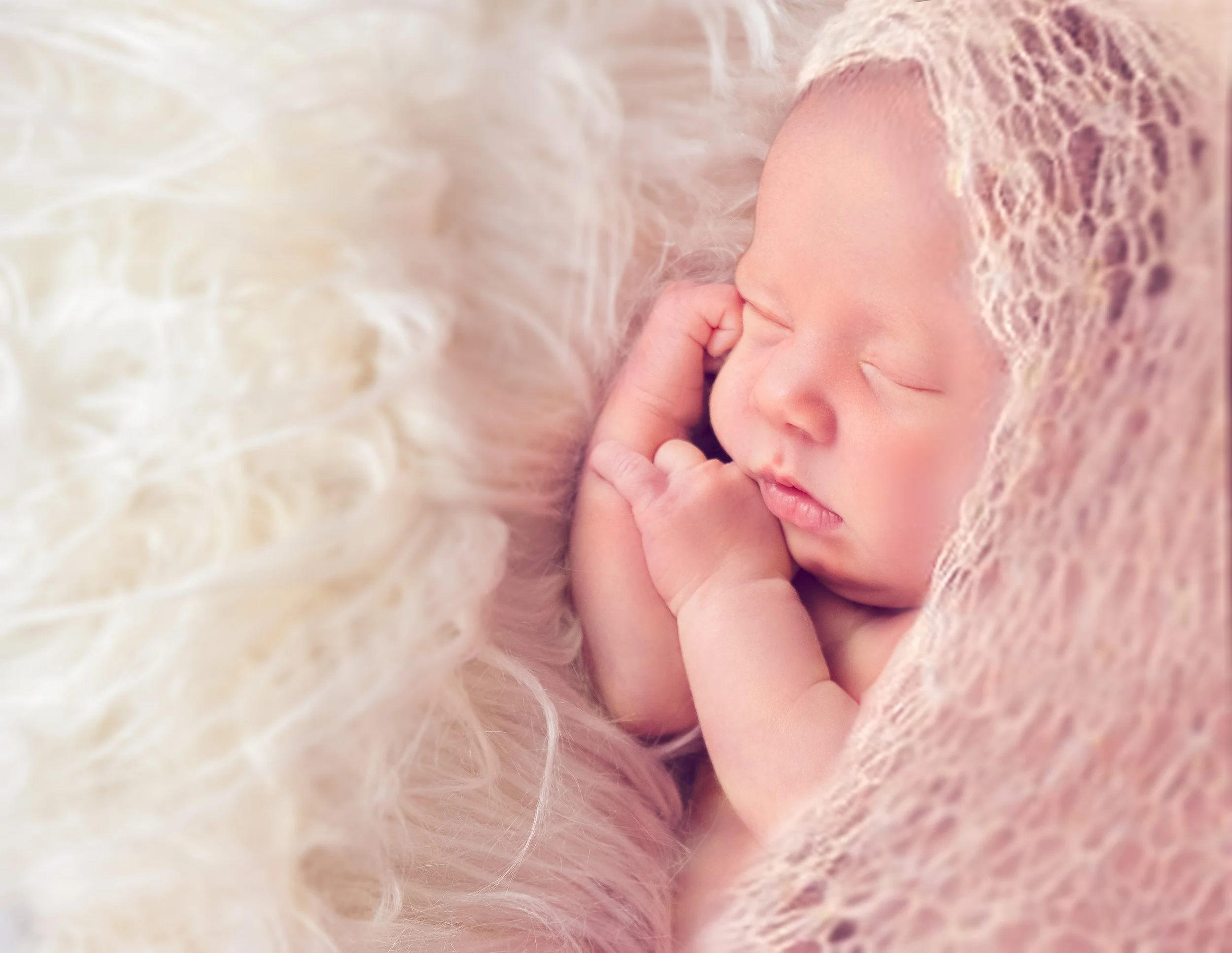 M. Harrison Photography