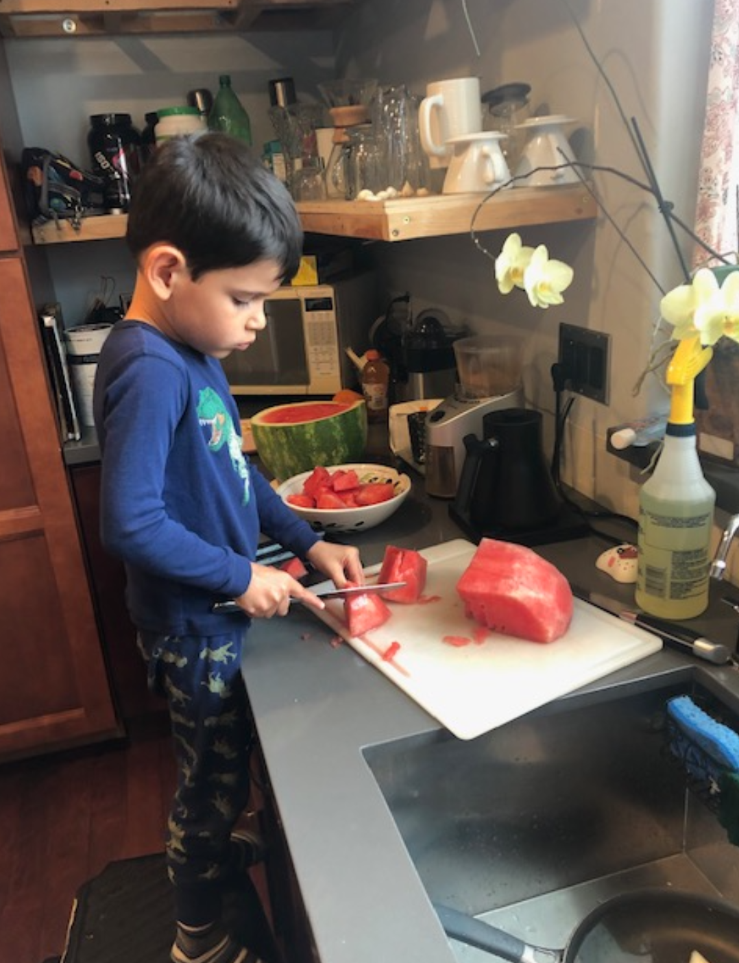 Project and Curriculum Ideas for Young Children — ECPBL