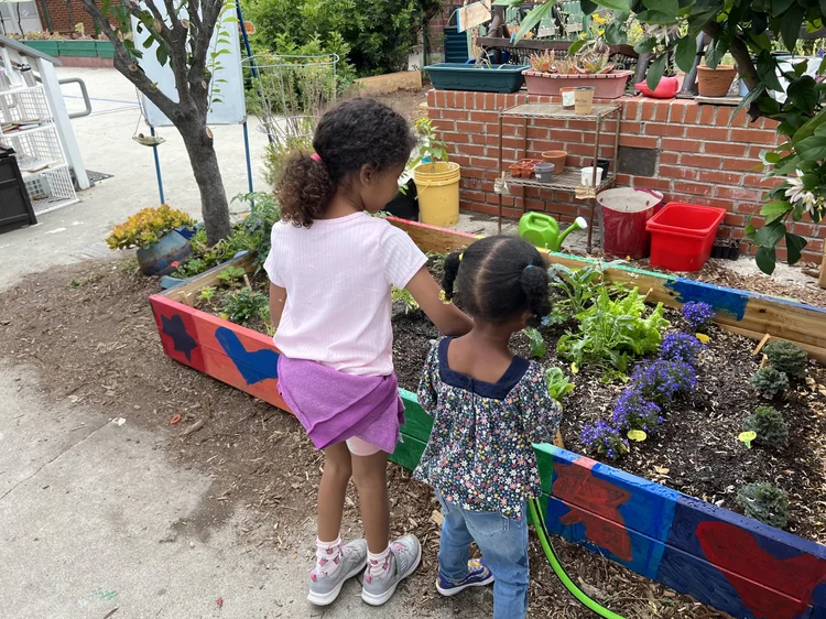 Early Childhood Project Based Learning Blog | Sample Projects ...