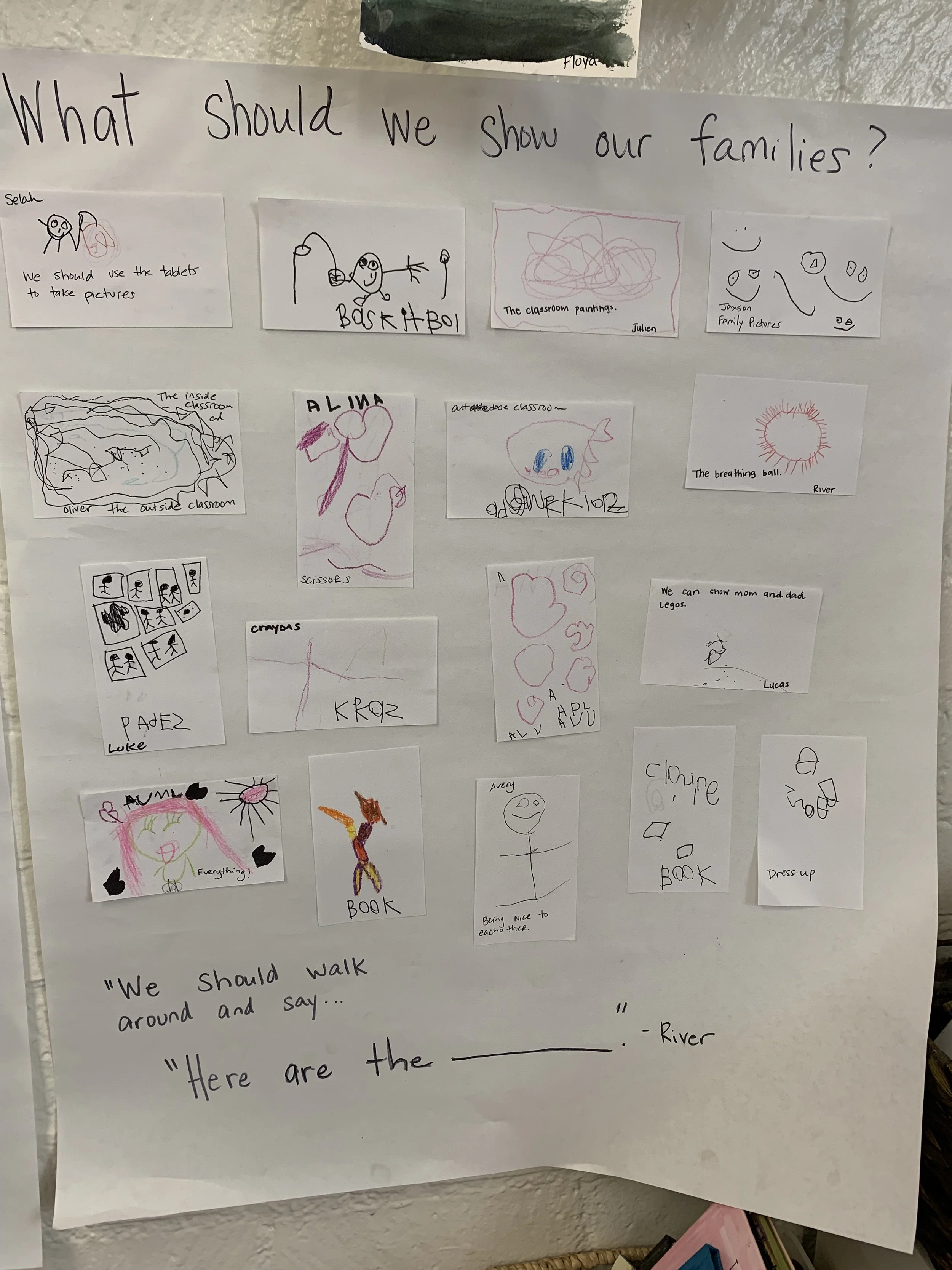 Project and Curriculum Ideas for Young Children — ECPBL