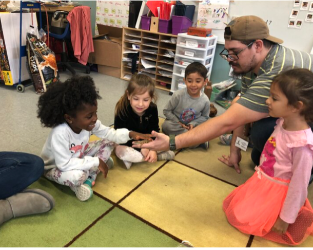 Project and Curriculum Ideas for Young Children — ECPBL