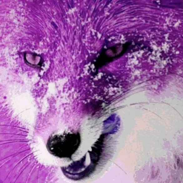 Don't Think of a Purple Fox — Stay Fierce