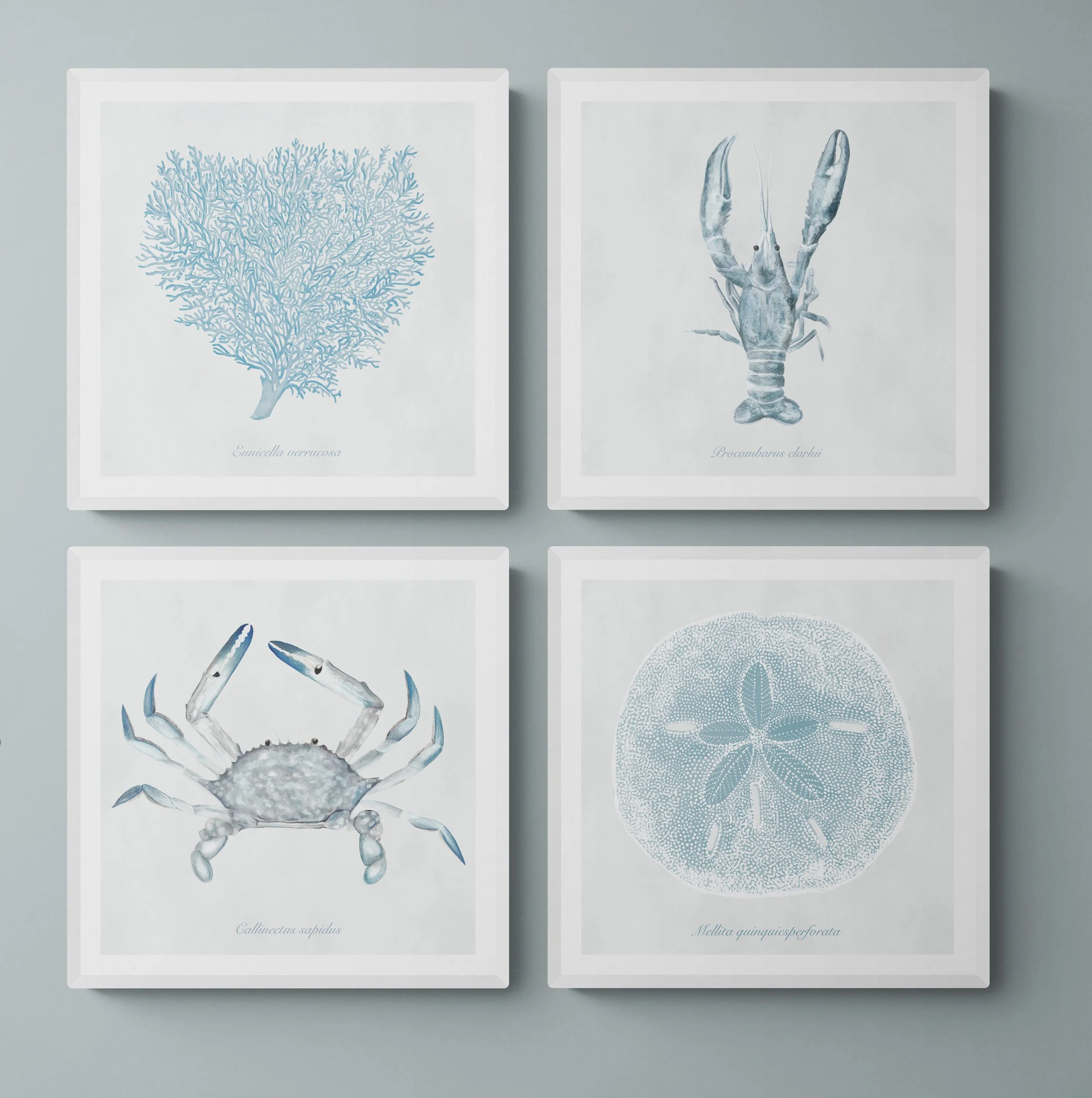 Fine Art and Textiles by Courtney Lyle