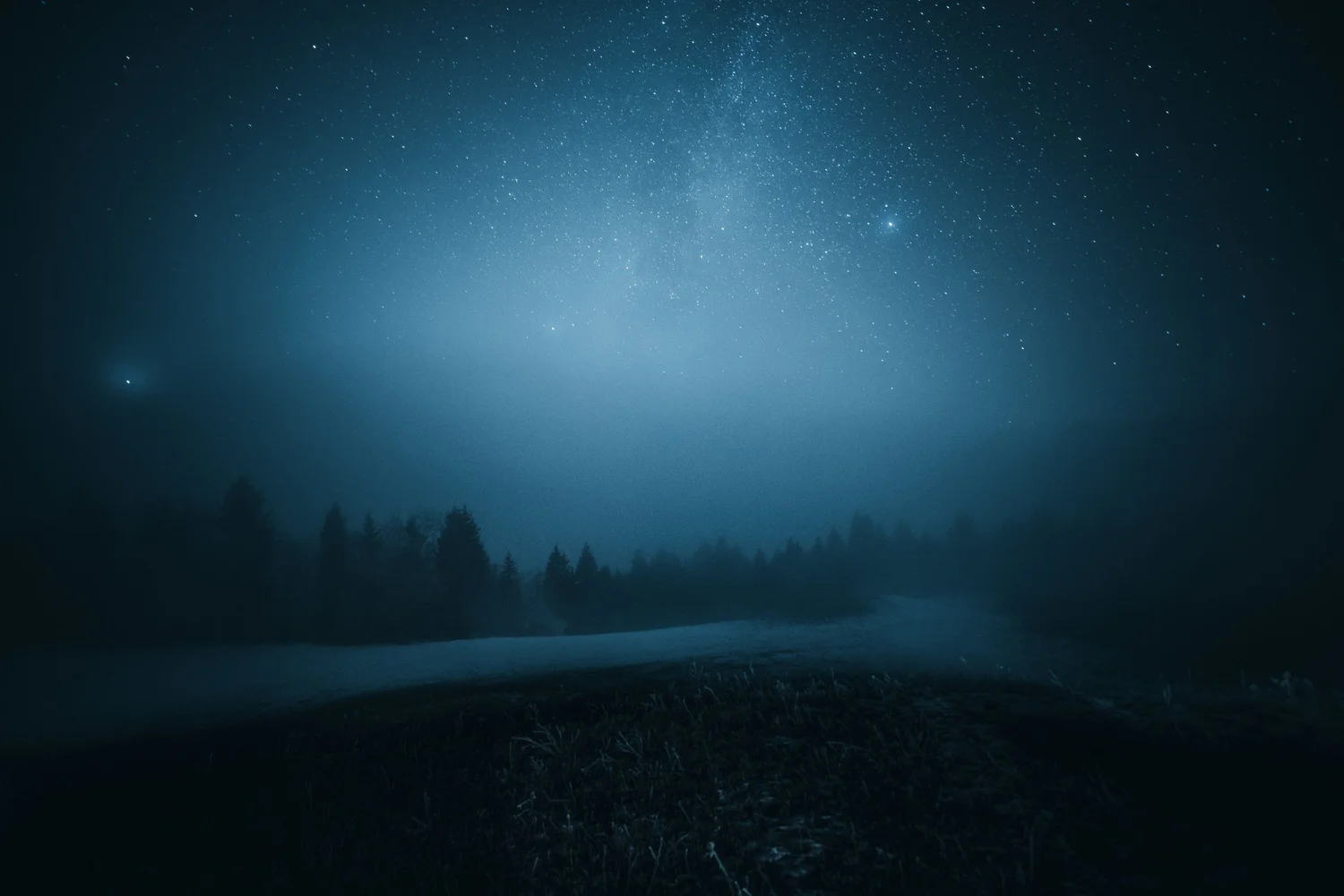 Oh Night Divine: An Invitation to Hope — Timothy Willard