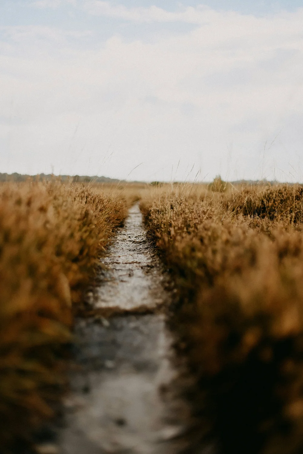 Coaching & Collaboration | Creative Mentoring & Formation with Timothy Willard — Timothy Willard