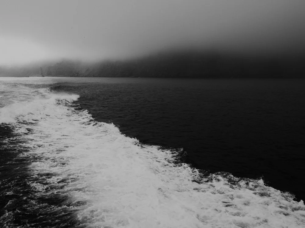 About — Timothy Willard