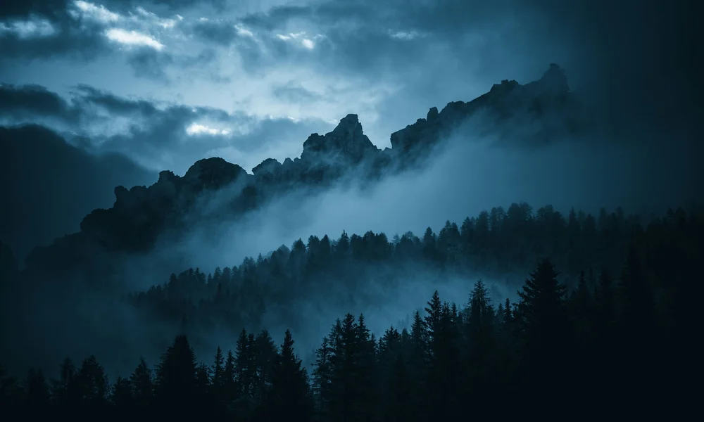 LUX—Winter: Staying in the Light — Timothy Willard