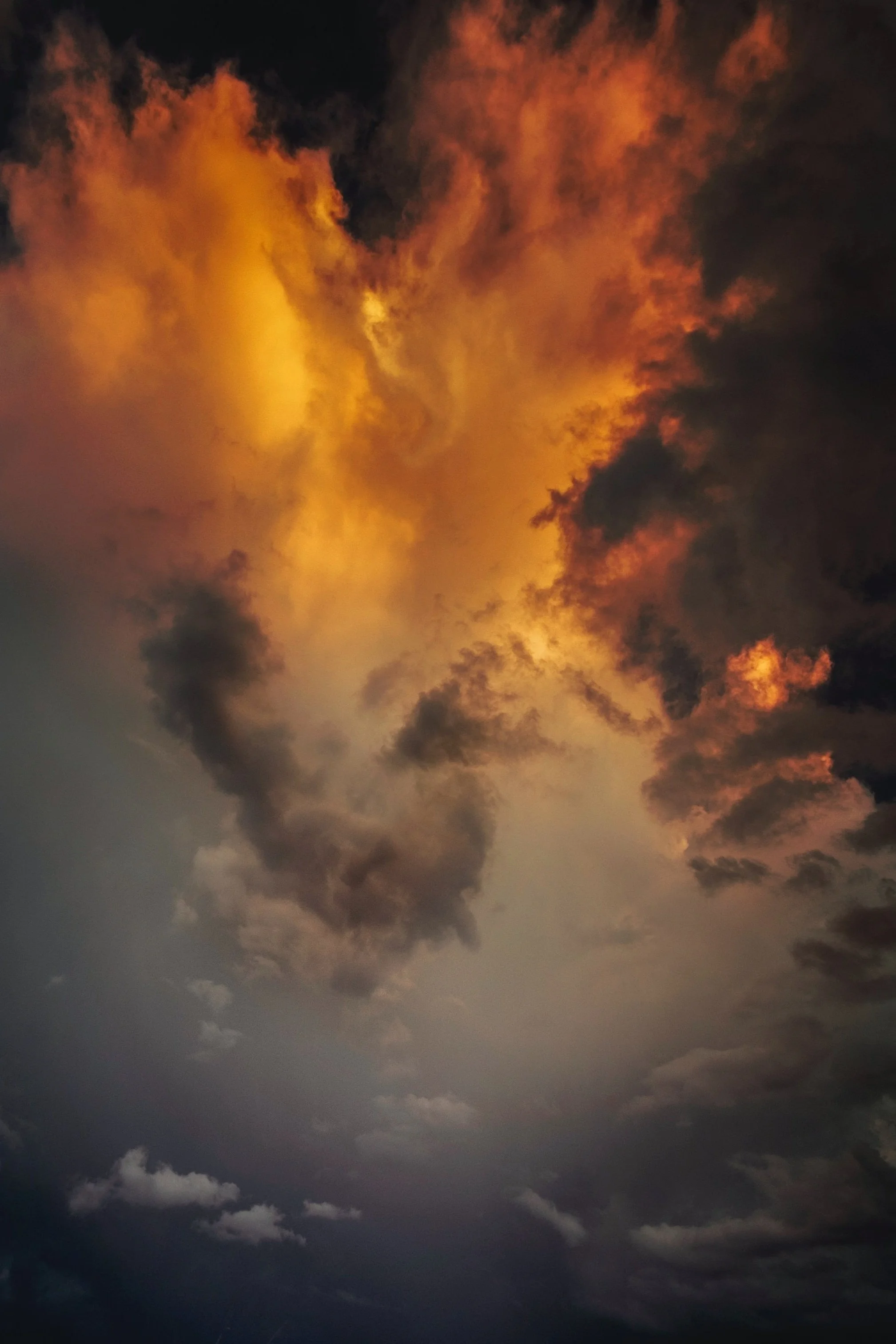 About — Timothy Willard