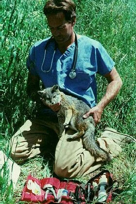 Wildlife Capture | Wildlife Capture & Management Equipment Online