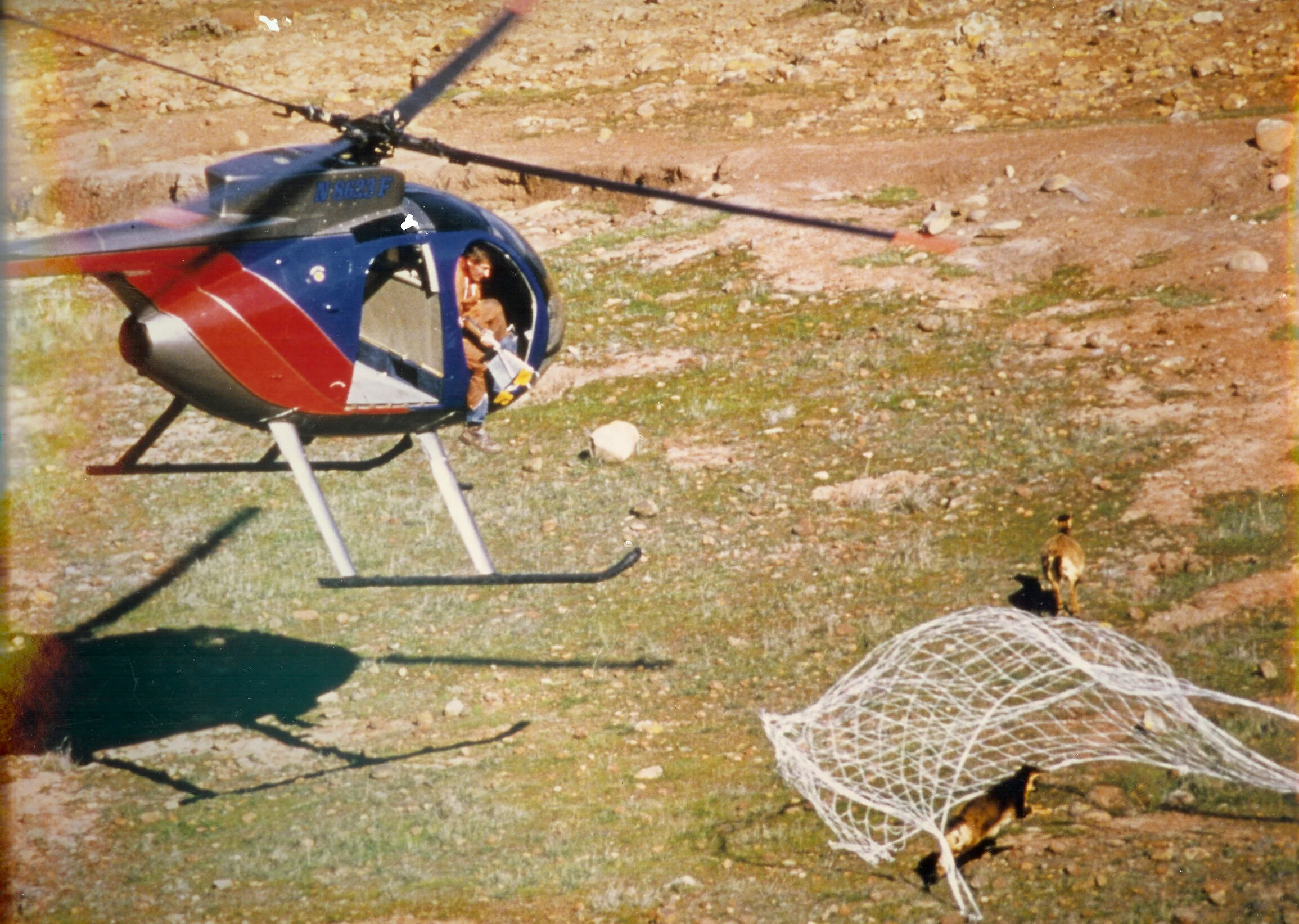 About us | Wildlife Capture Services - Animal Capture & Equipment