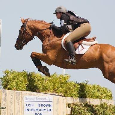 Ottawa Horse / Equestrian Photography Gallery