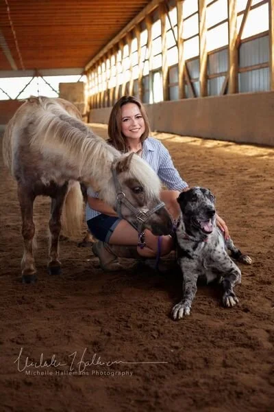 Ottawa Horse / Equestrian Photography Gallery