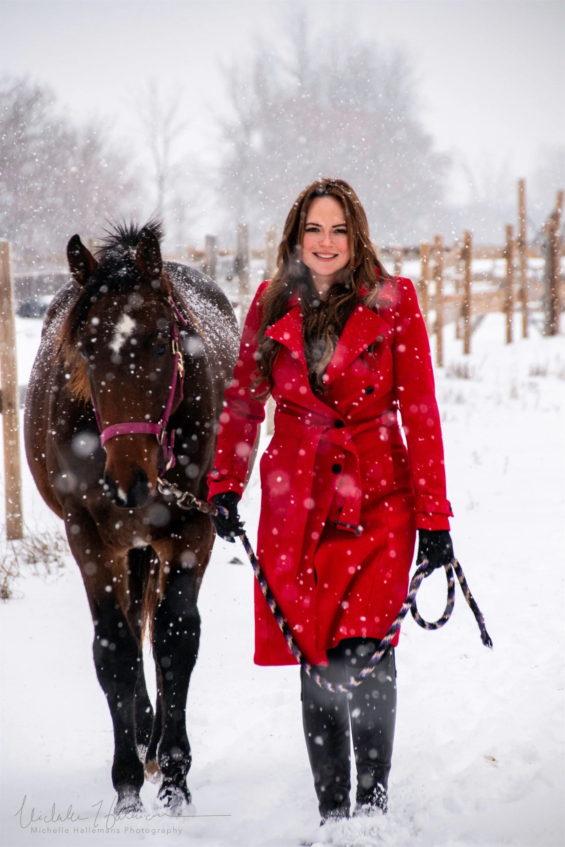 Ottawa Horse / Equestrian Photography Gallery