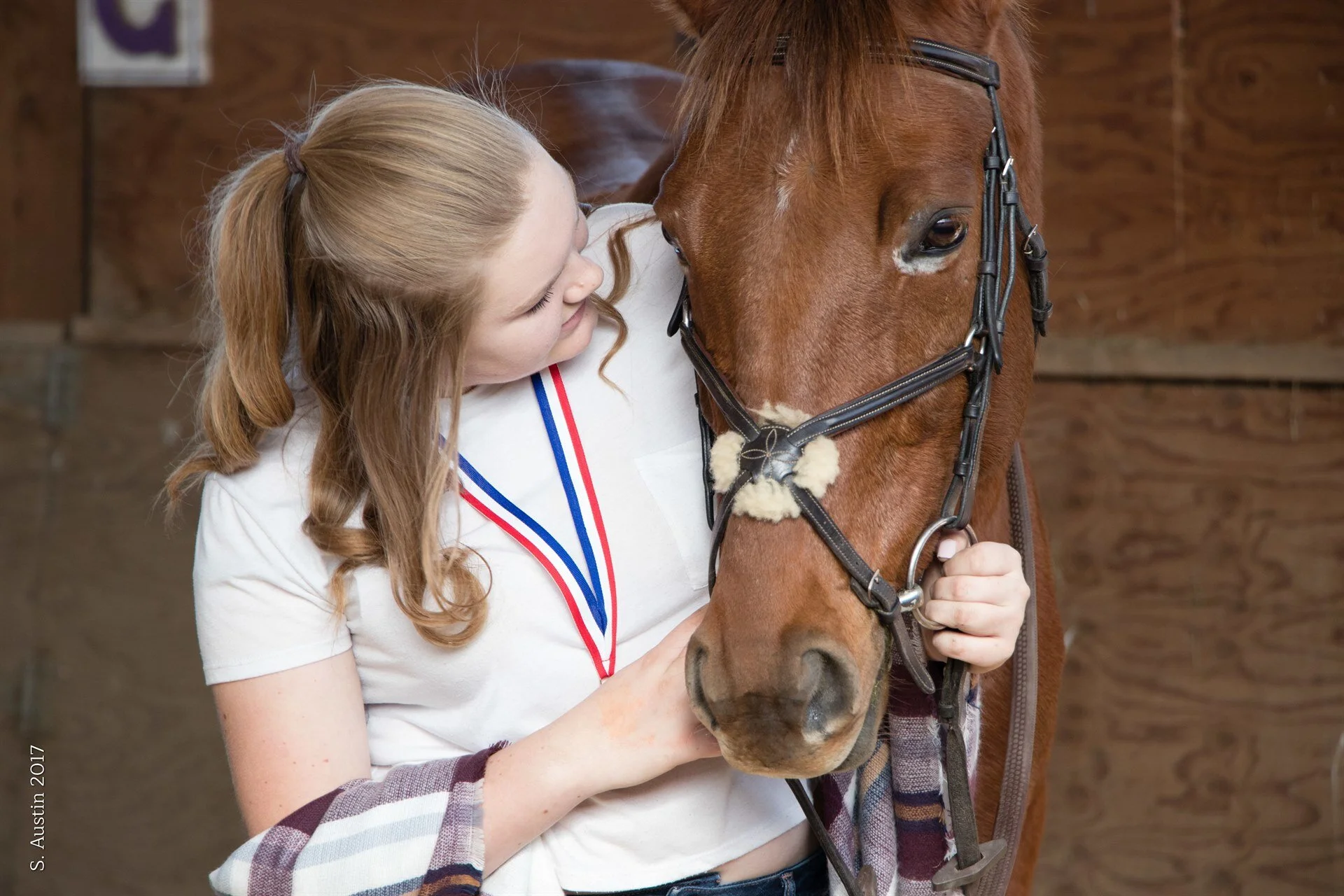 Ottawa Horse / Equestrian Photography Gallery