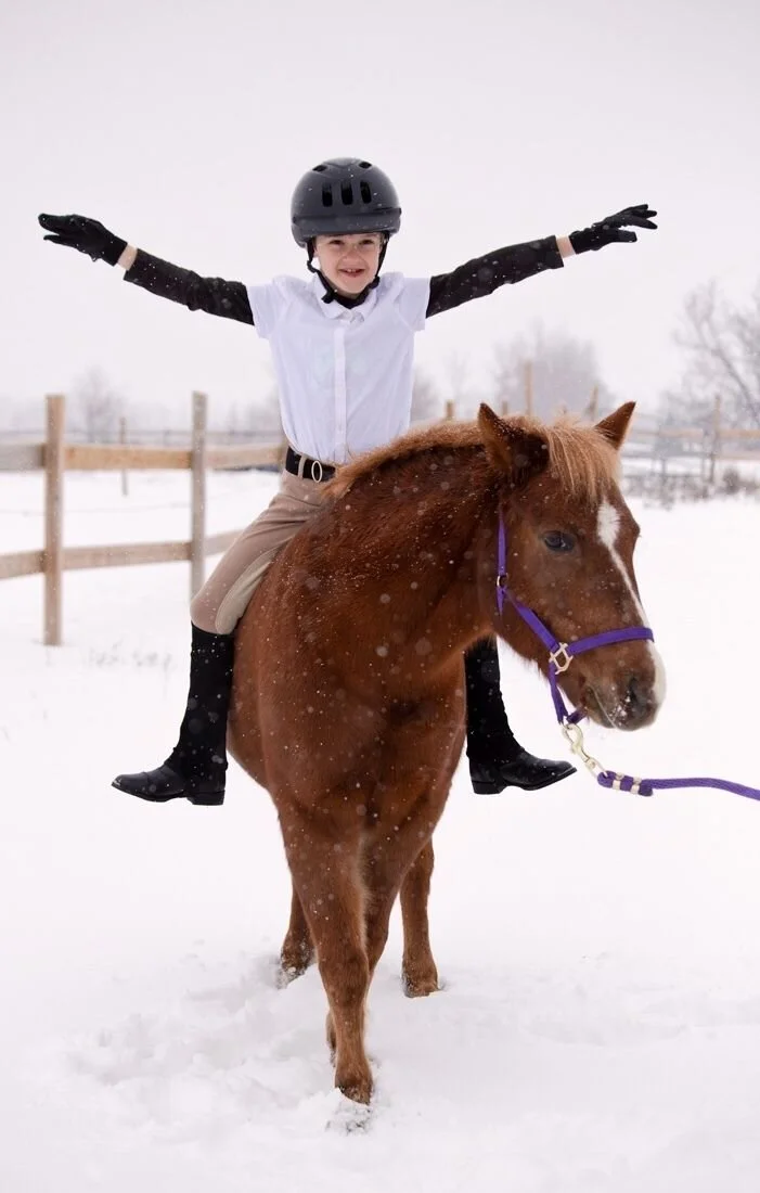 Ottawa Horse / Equestrian Photography Gallery