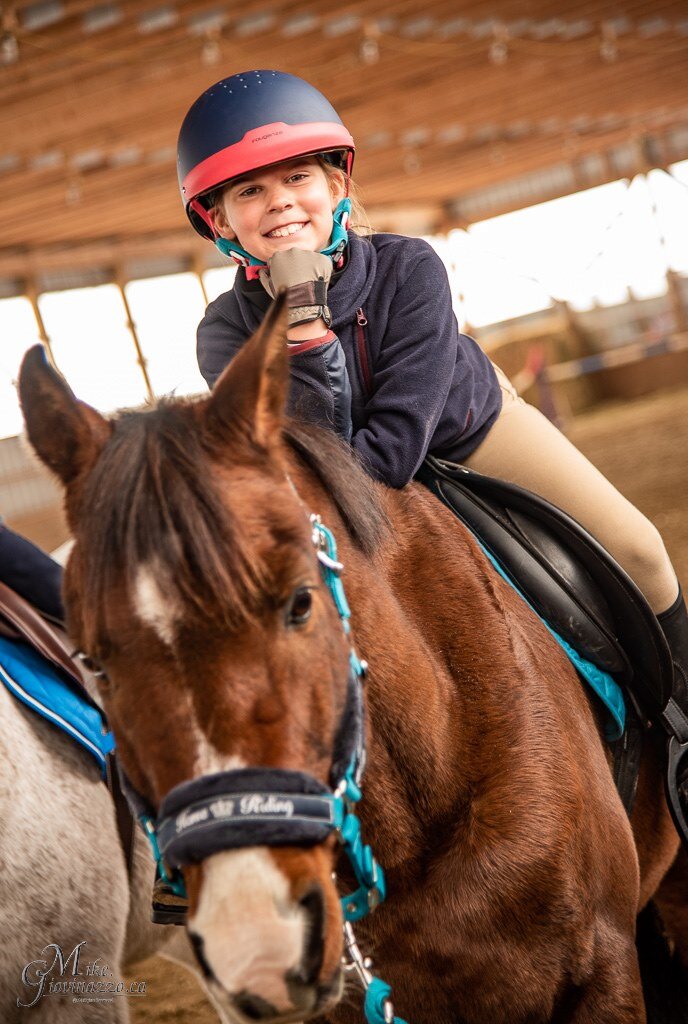 Ottawa Horse / Equestrian Photography Gallery