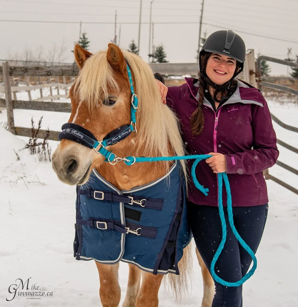 Ottawa Horse / Equestrian Photography Gallery