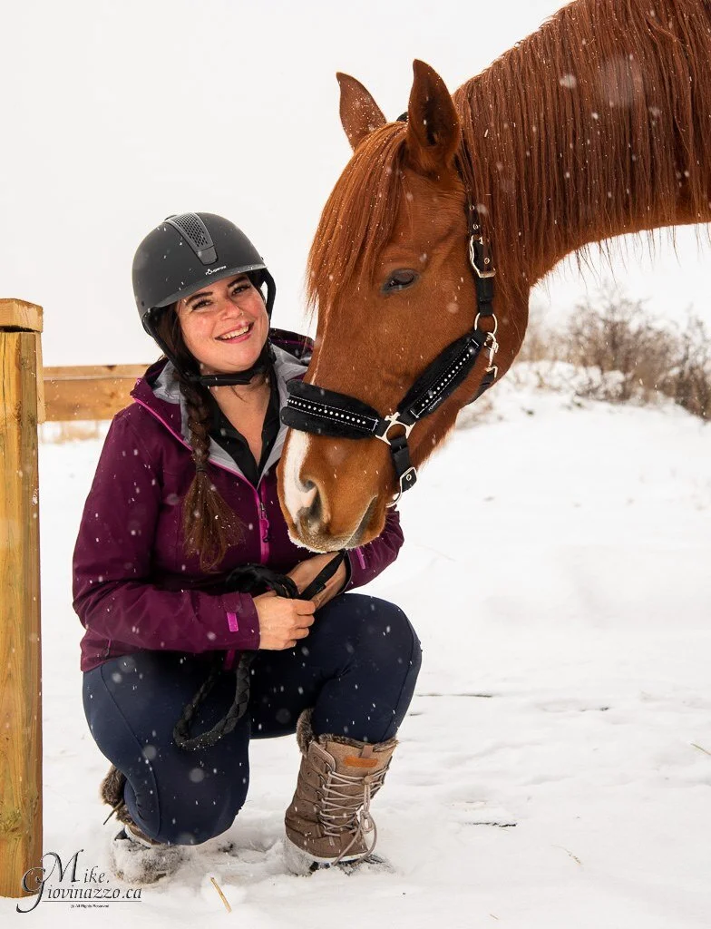 Ottawa Horse / Equestrian Photography Gallery