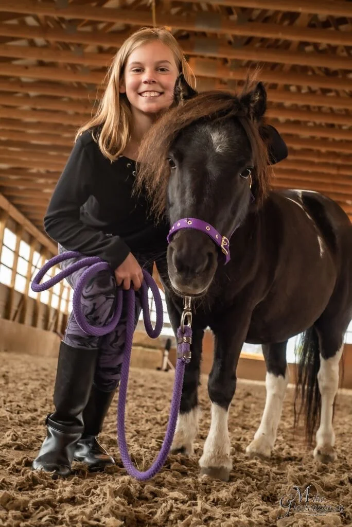 Ottawa Horse / Equestrian Photography Gallery