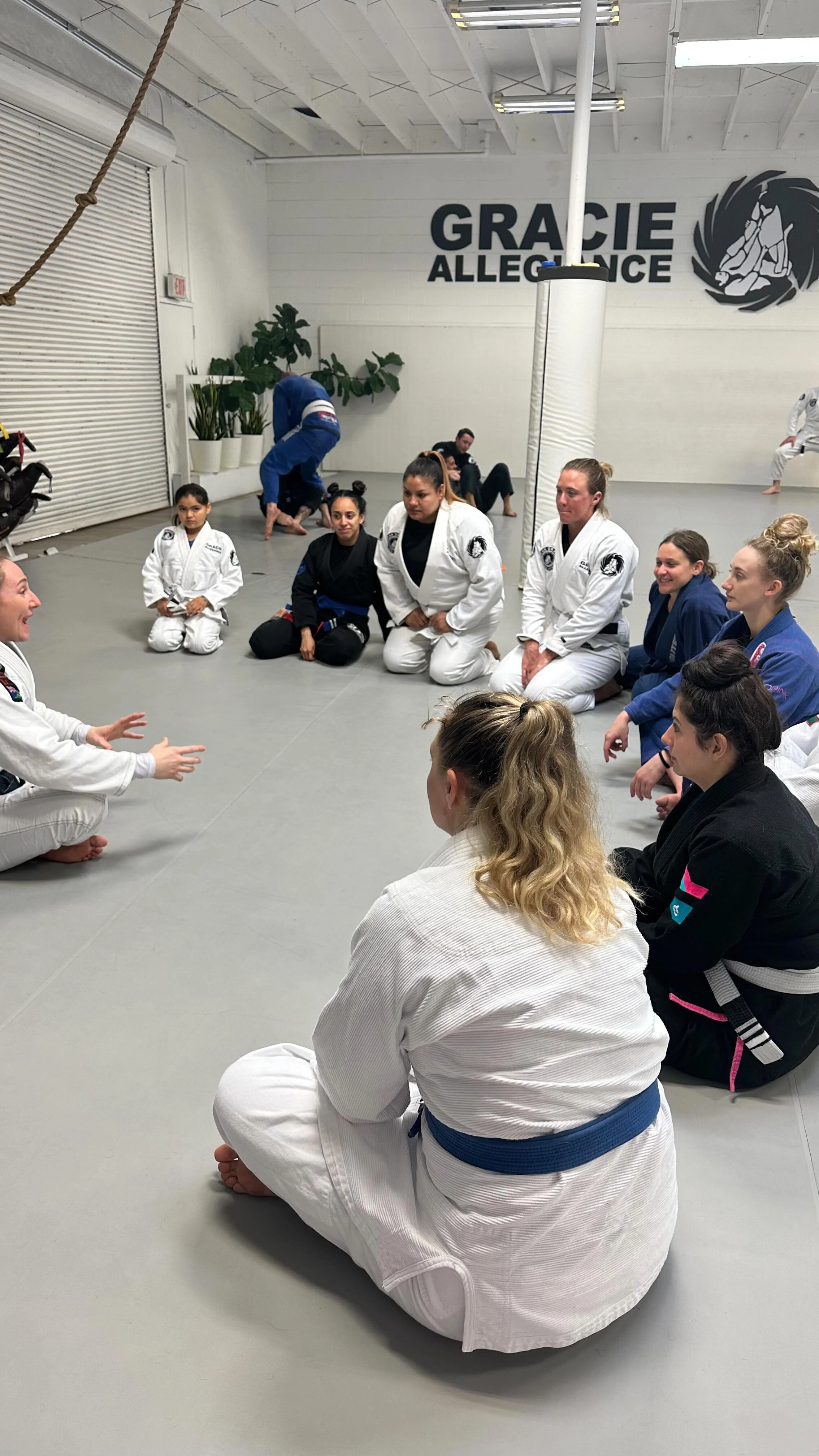 Gracie Allegiance Brazilian Jiu Jitsu Team Clark Gracie BJJ