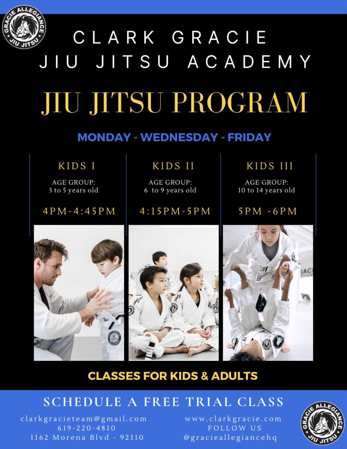 Gracie Allegiance Brazilian Jiu Jitsu Team Clark Gracie BJJ