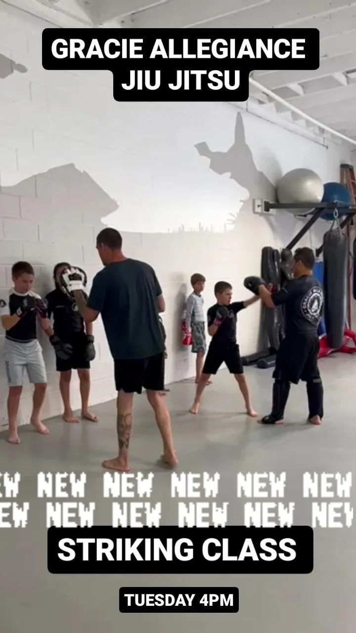 Gracie Allegiance Brazilian Jiu Jitsu Team Clark Gracie BJJ