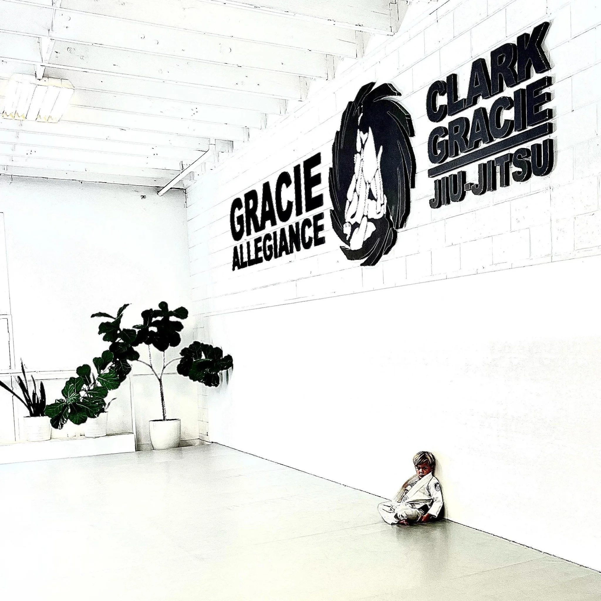 Gracie Allegiance Brazilian Jiu Jitsu Team Clark Gracie BJJ