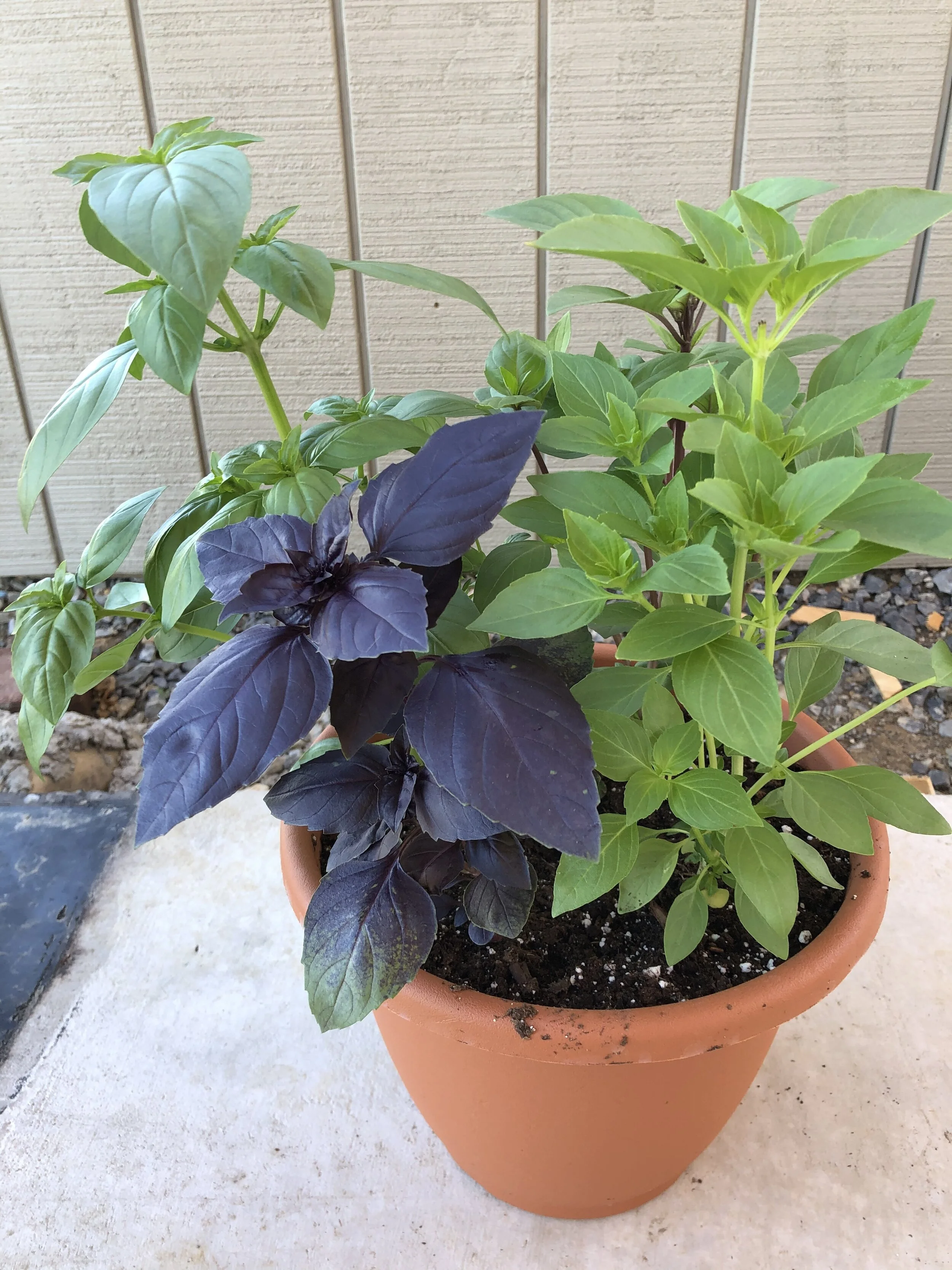 Flower Shop — The Greensmith Flower Farm