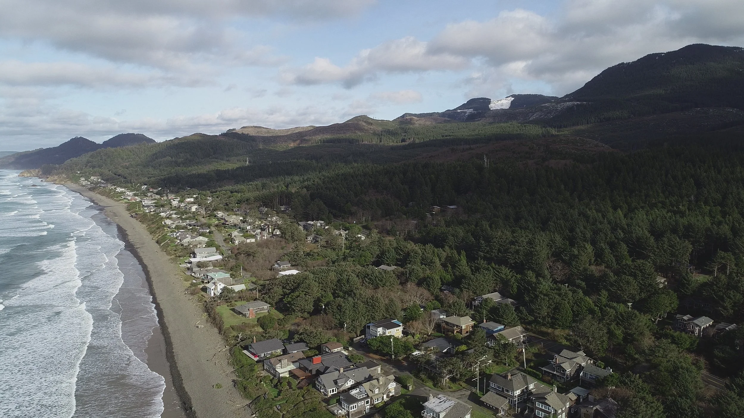 Incorporation Committee — Arch Cape Falcon Cove Beach Community Club