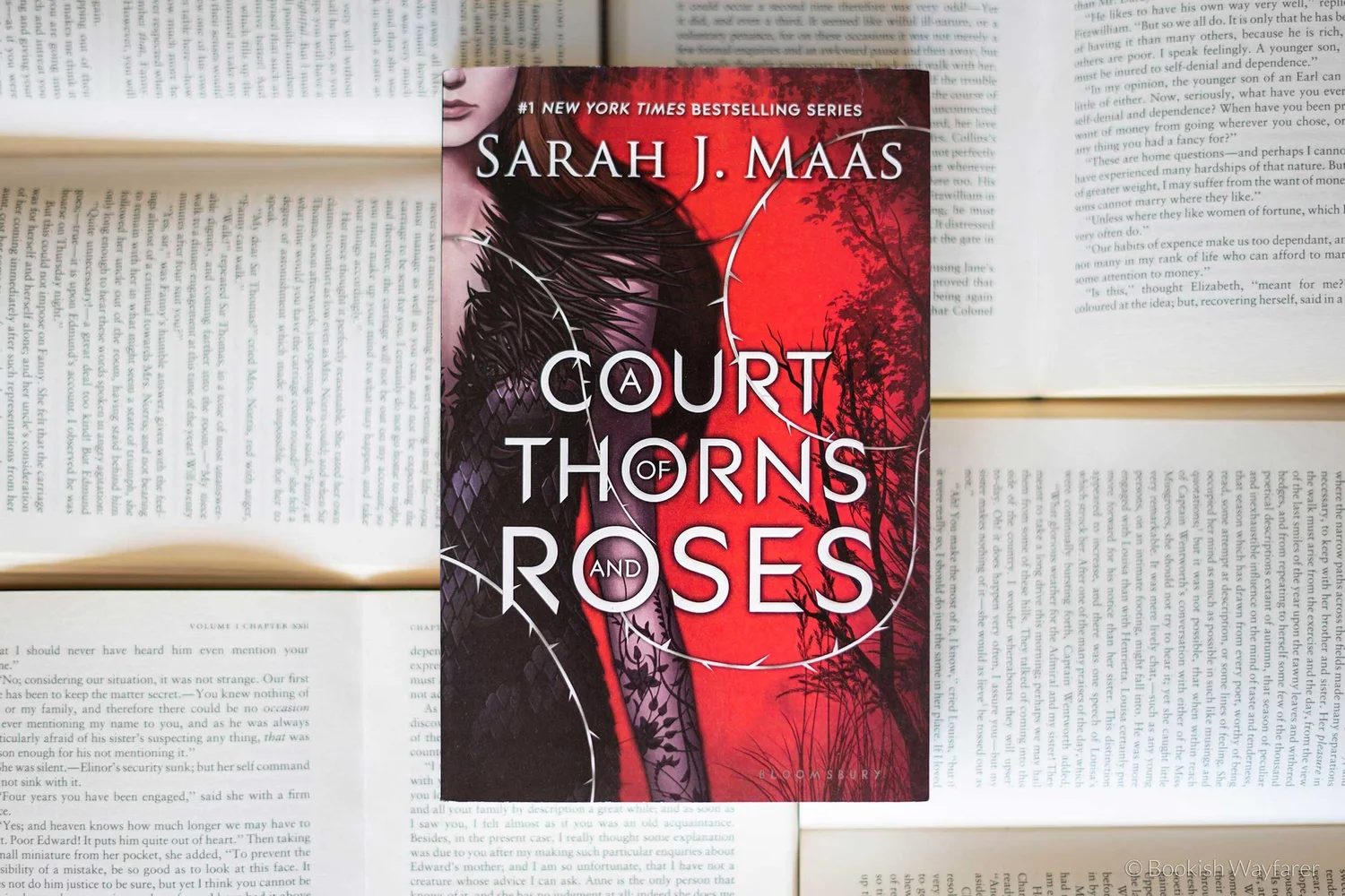 Swoon-Worthy Fantasy Romance: 20 Romantasy Reads to Obsess Over ...