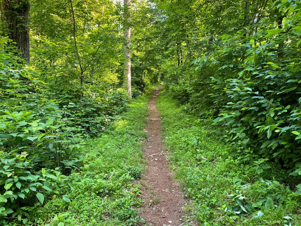 A Long Weekend in Shenandoah National Park: 4-Day Itinerary — bookish ...