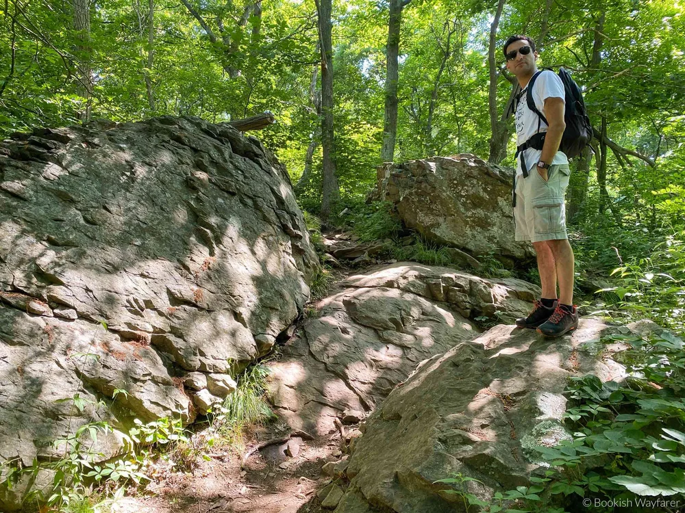 Hiking Guide: Compton Peak, Shenandoah National Park — Bookish Wayfarer