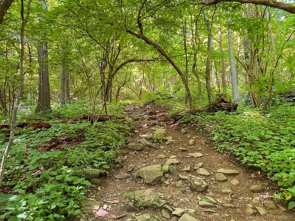 Hiking Guide: Compton Peak, Shenandoah National Park — bookish wayfarer