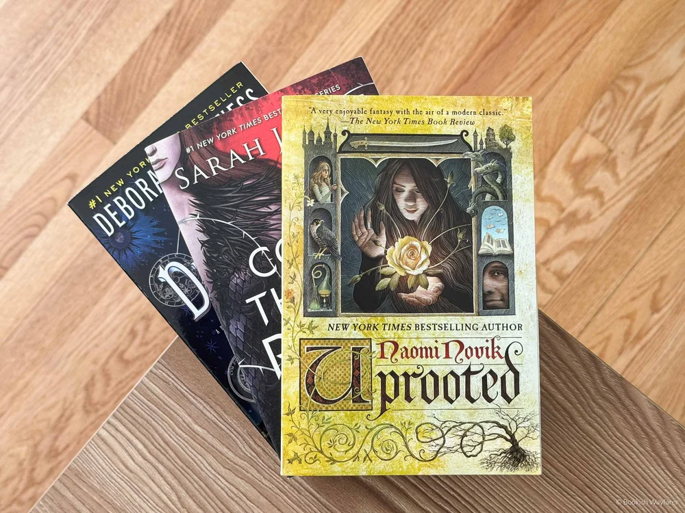 Fantasy Book Recommendations for Beginners — Bookish Wayfarer