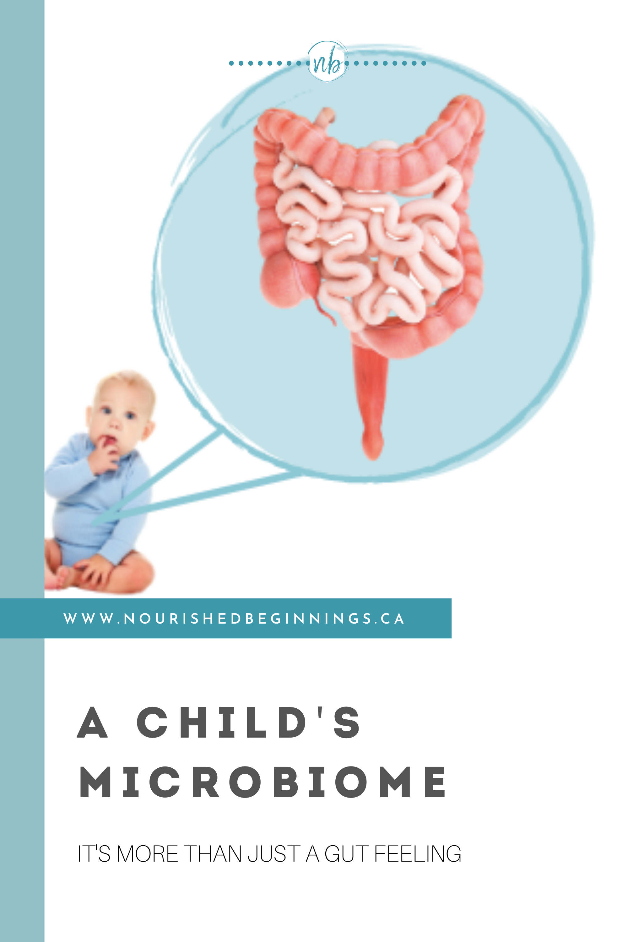 A Child's Microbiome. It's More Than Just a Gut Feeling — Nourished ...